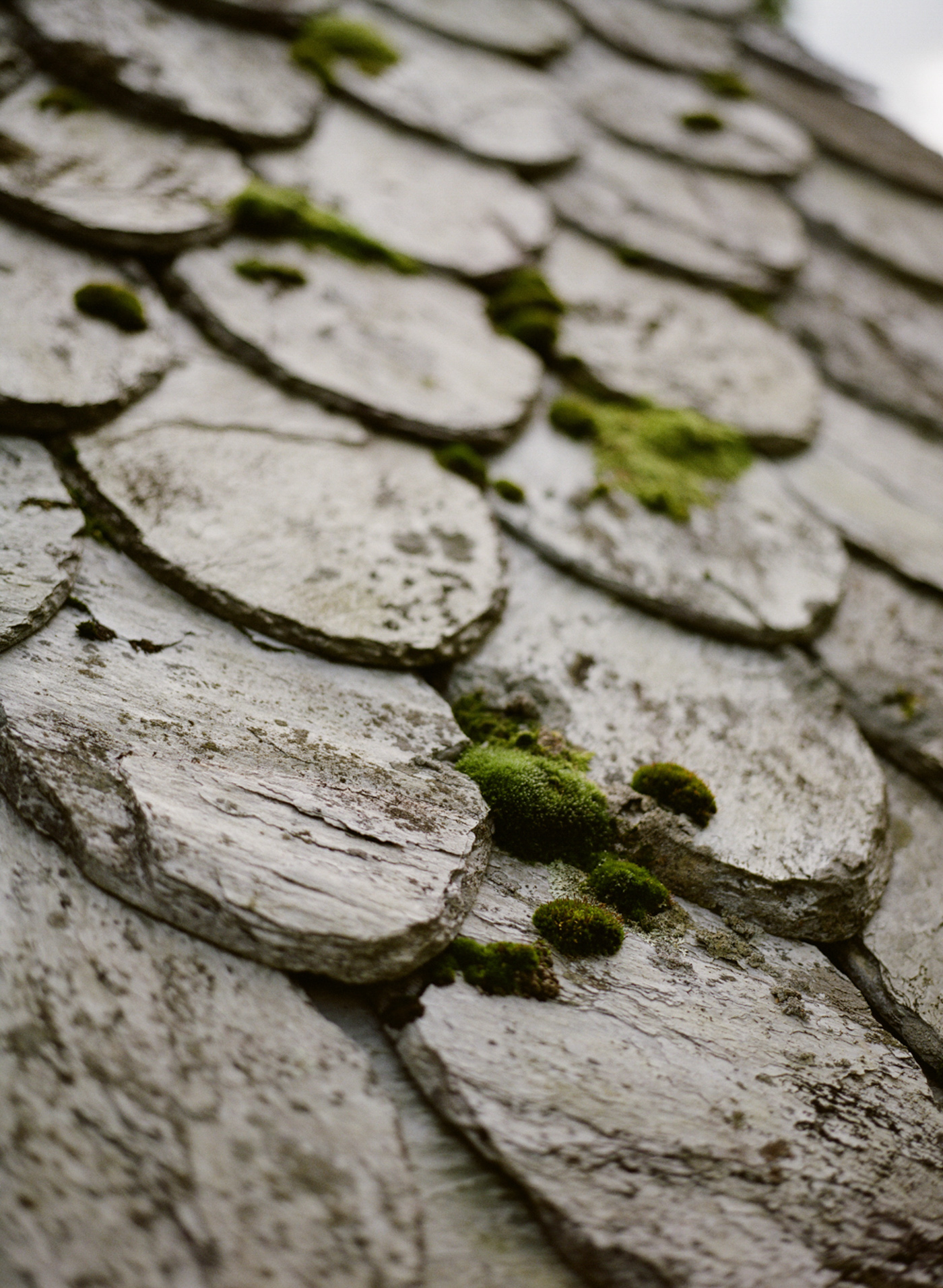 Norway Fjords Wedding » Koby Brown Photography